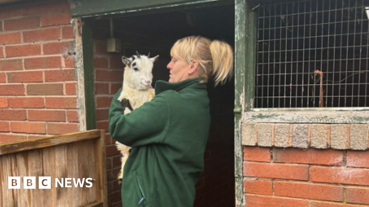 Rice Lane City Farm: 'We'll be heartbroken' if it closes says boss ...