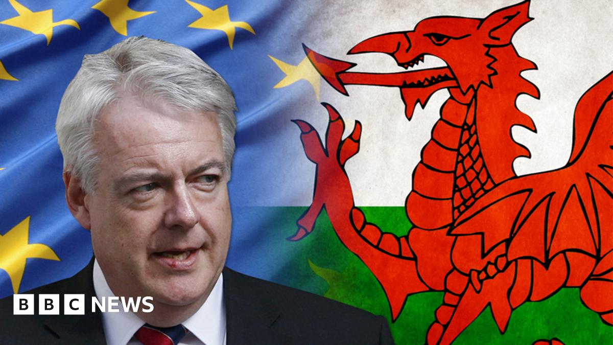 The tricky politics of pro-Brexit Wales - BBC News