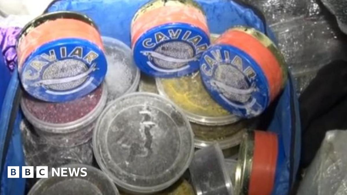 Russia: Police catch speeding hearse full of caviar - BBC News