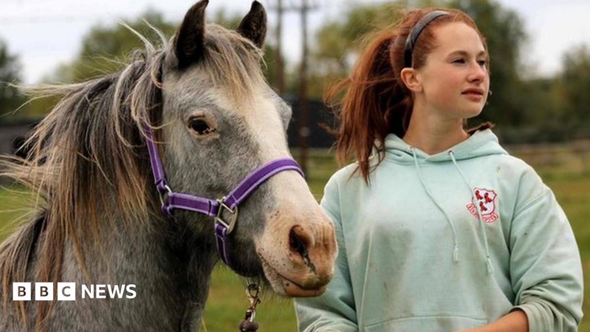 Man denies horse sanctuary worker murder in Pitsea, Essex - BBC News