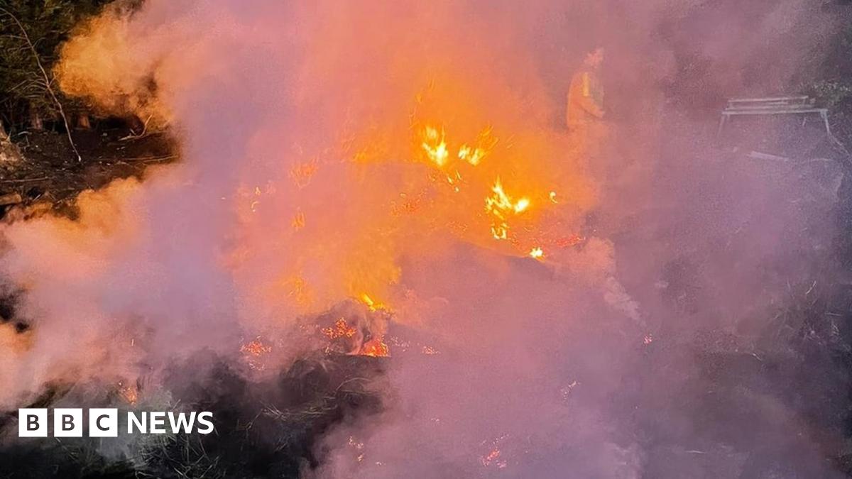 West Midlands fire services saw big rise in summer wildfires - BBC News