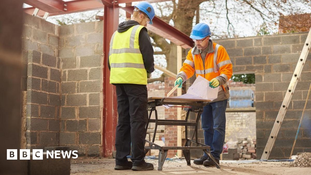 Welsh self-build housing scheme 'world first' - BBC News