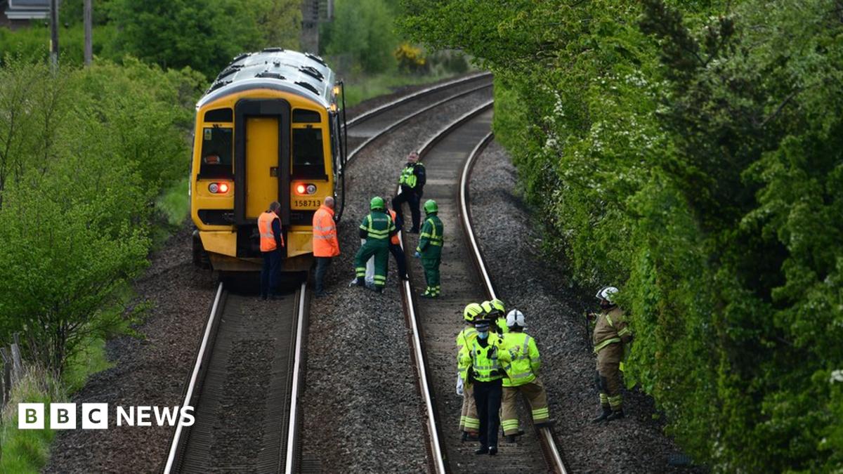 Train hits tree which fell onto the line near Perth - BBC News