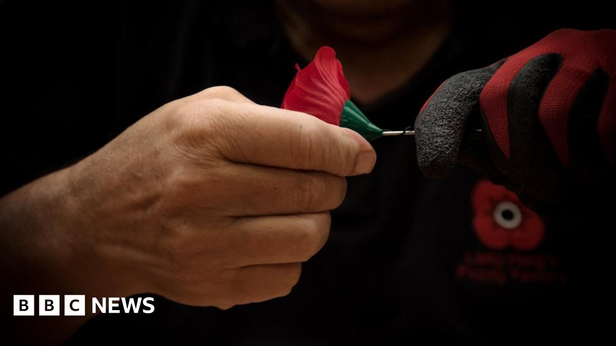 In Pictures: Inside Lady Haig's Poppy Factory - BBC News