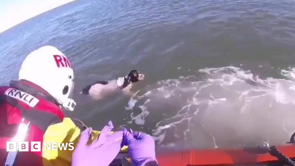 Rhyl lifeboat crew rescue seagull-chasing dog from sea - BBC News