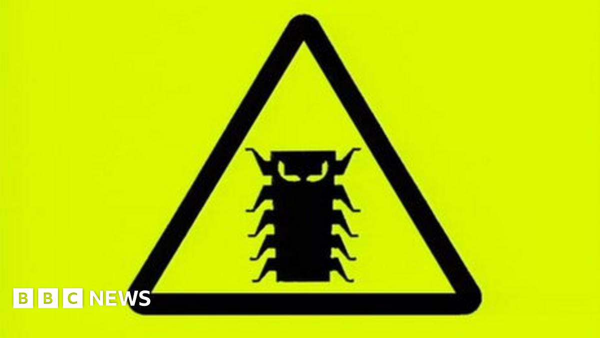 Millennium bug - was it a myth? - BBC News