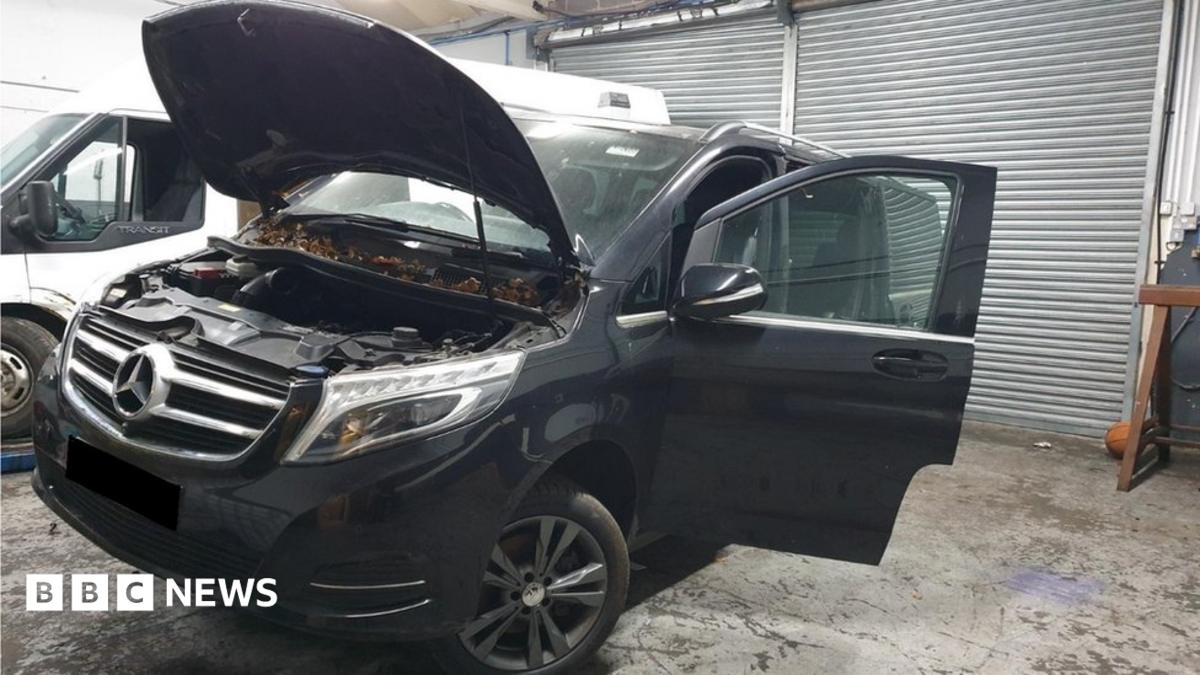 Six held as police uncover Merseyside stolen car workshops - BBC News