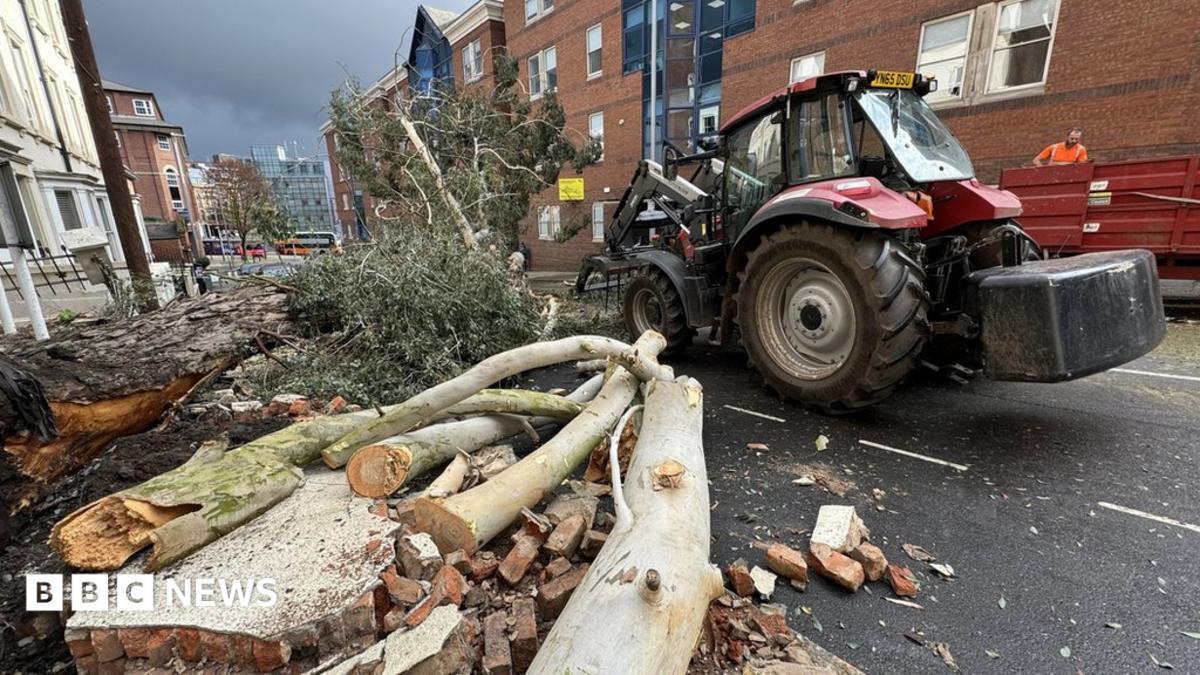 Trees and roof tiles fall as strong winds hit East Midlands - BBC News