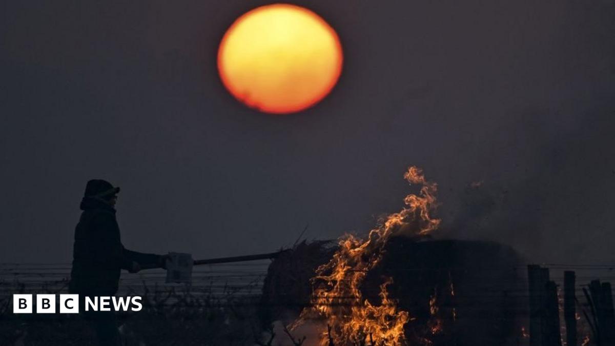 Week in pictures: 3 - 9 April 2021 - BBC News