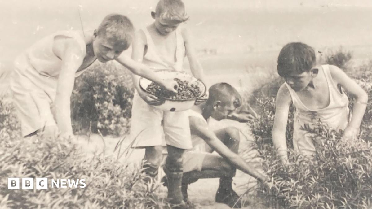 Leicester Children's Holidays charity celebrates 125 years - BBC News