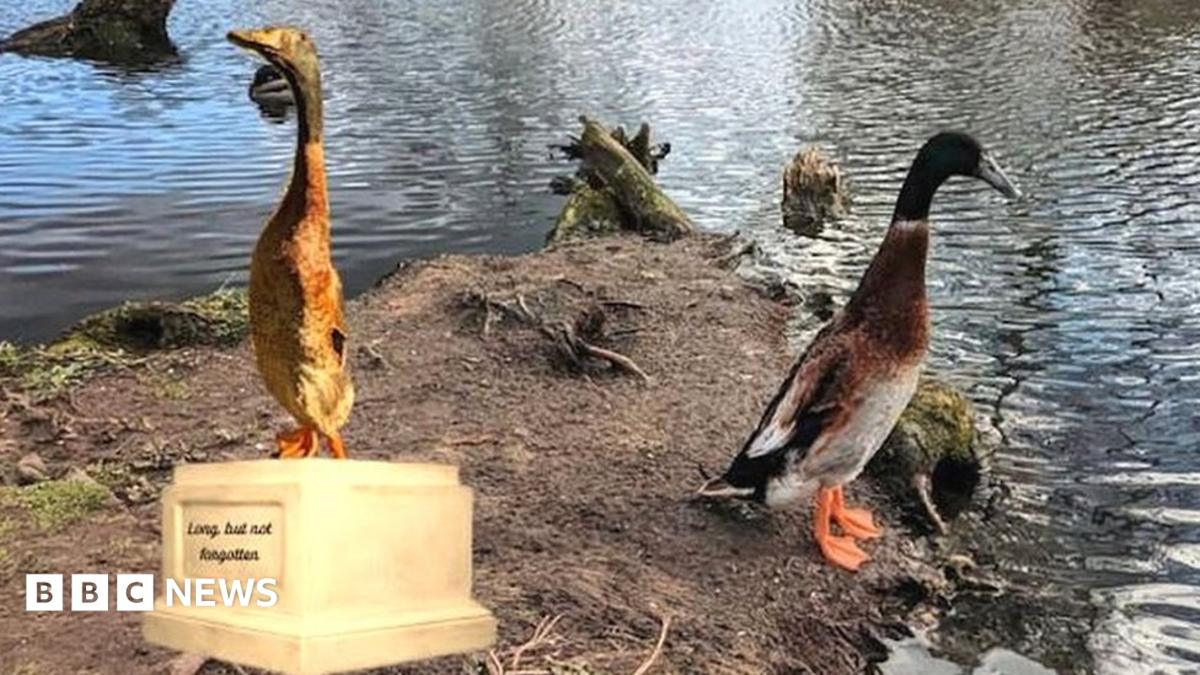 Long Boi: £10k statue plan for missing University of York duck - BBC News