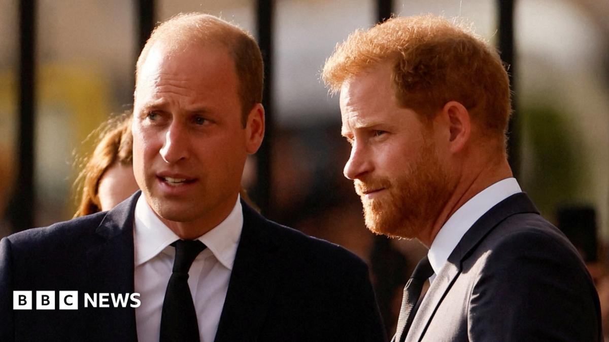 William and Harry united in grief - BBC News