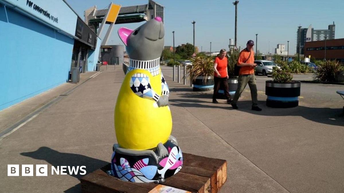 Hull prepares for 50 giant rats in new art trail - BBC News