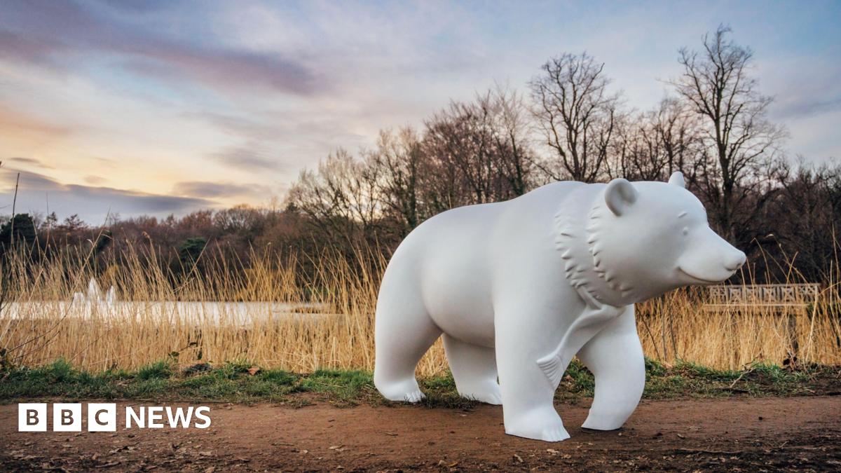 New Dartford bear sculpture trail inspired by children's book - BBC News