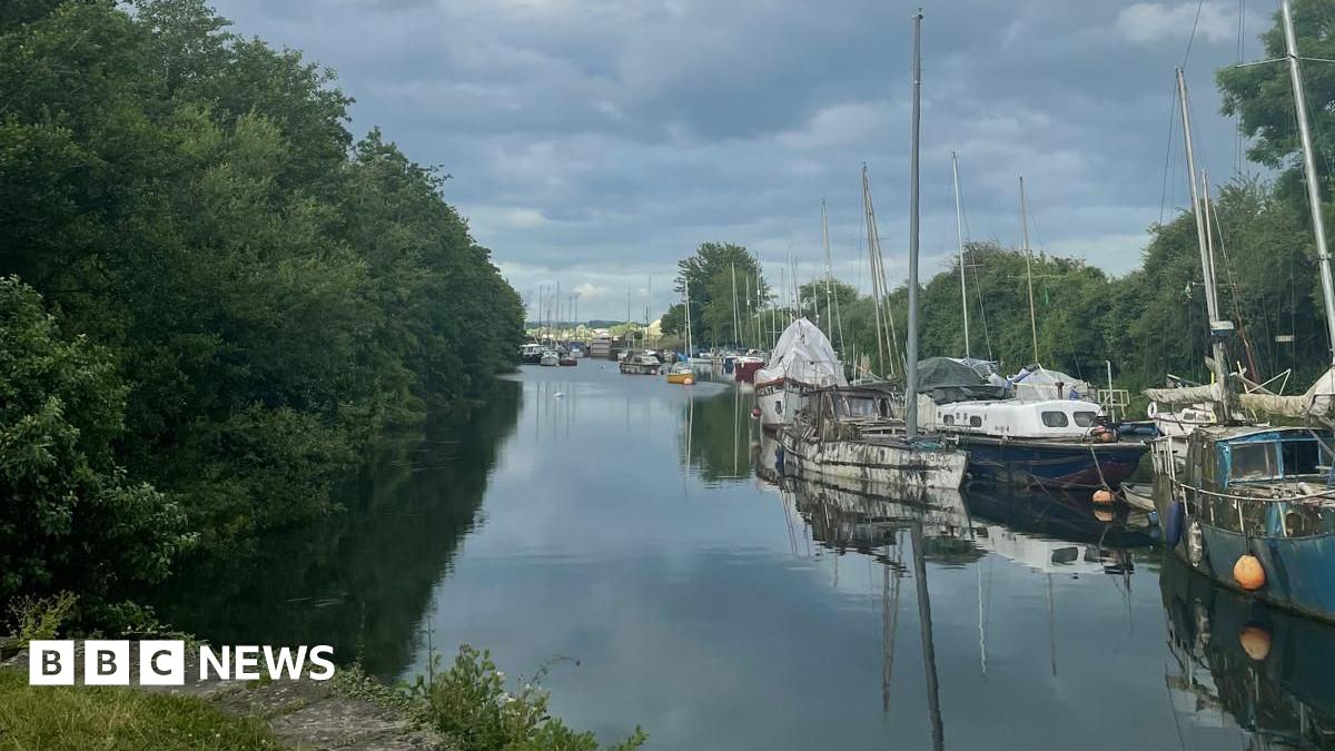 Lydney Harbour eel farm and fish factory given go ahead - BBC News