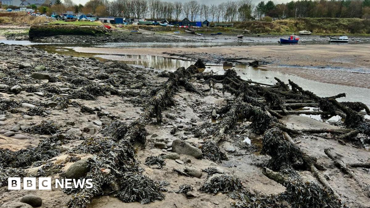 Metal on Cambois beach 'WW2 defences', historians say - BBC News