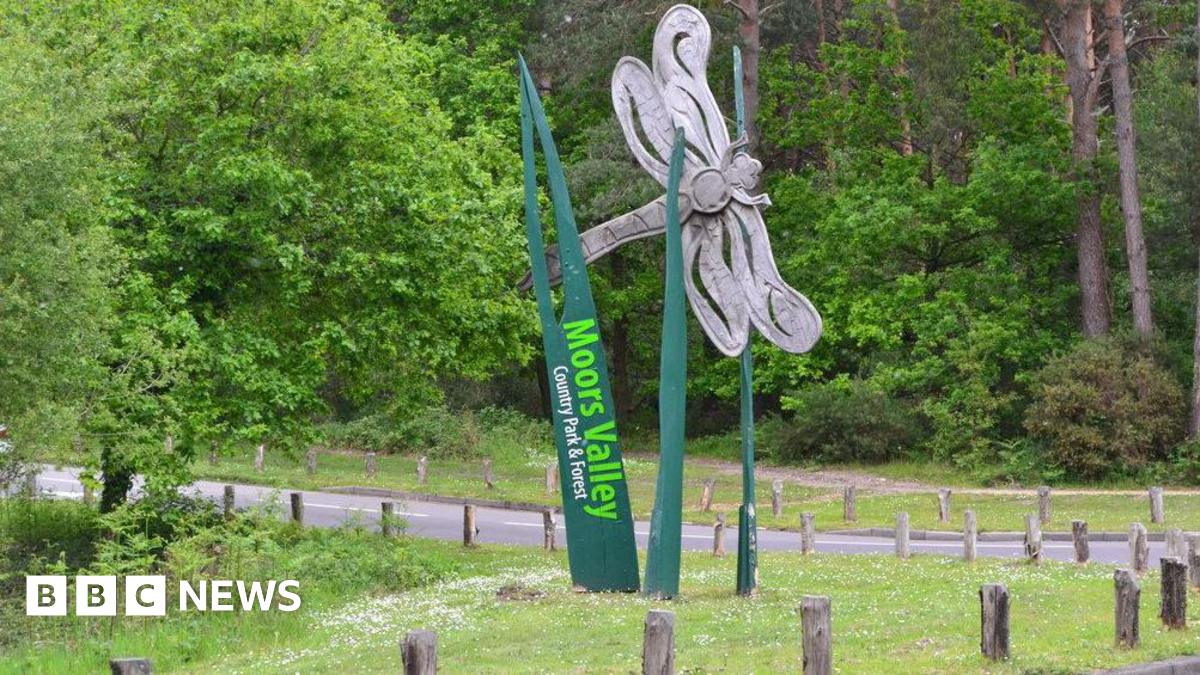 Moors Valley Country Park gets events and drinks sales permission - BBC ...