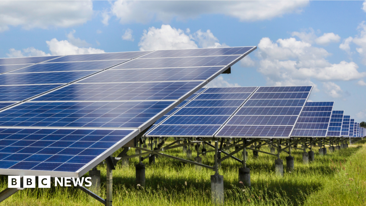 Norfolk solar farm 'part of food security solution' - developer - BBC News