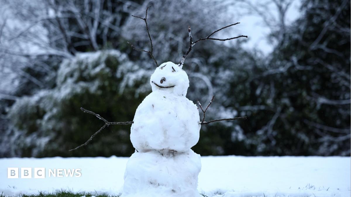 Snowmen, snow cats and snow dogs pop up across North West - BBC News