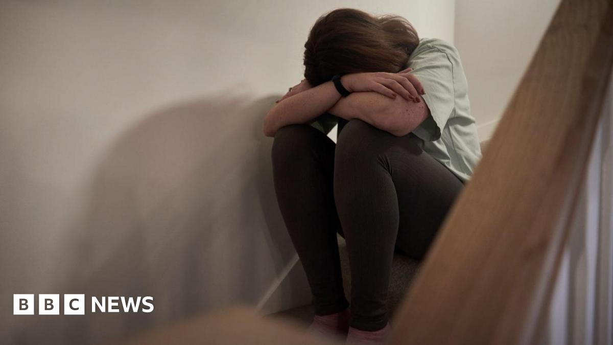 Rotherham domestic abuse service to continue - council - BBC News