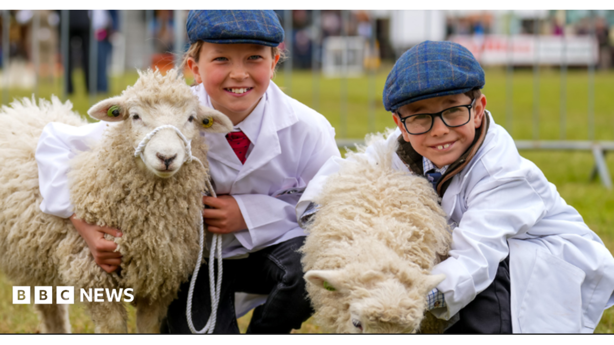 Suffolk Show: Everything you need to know - BBC News