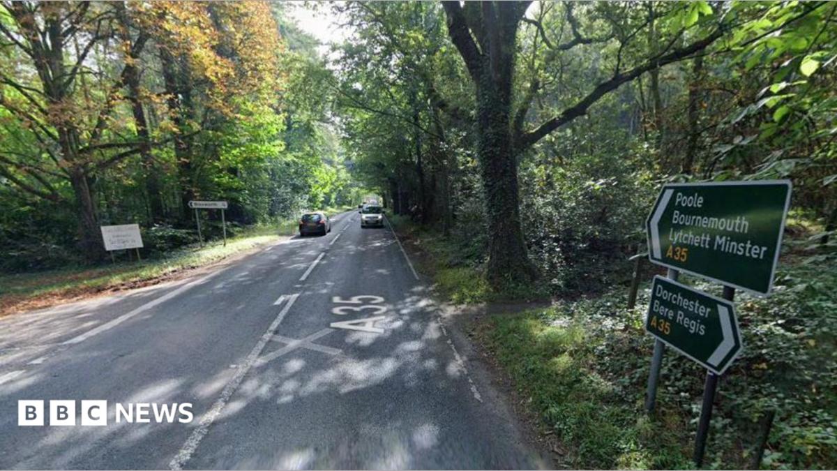 Flood-prone A35 at Bloxworth to shut to upgrade drains - BBC News