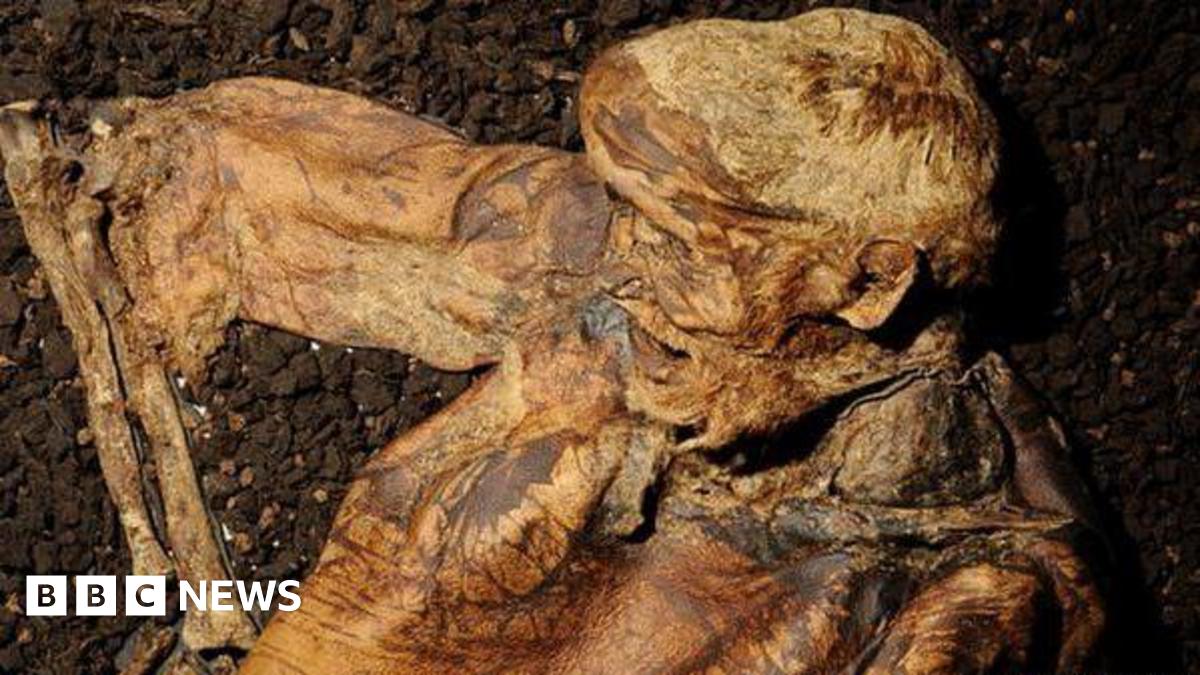 Lindow Man: Forty years since bog gave up gruesome secret - BBC News