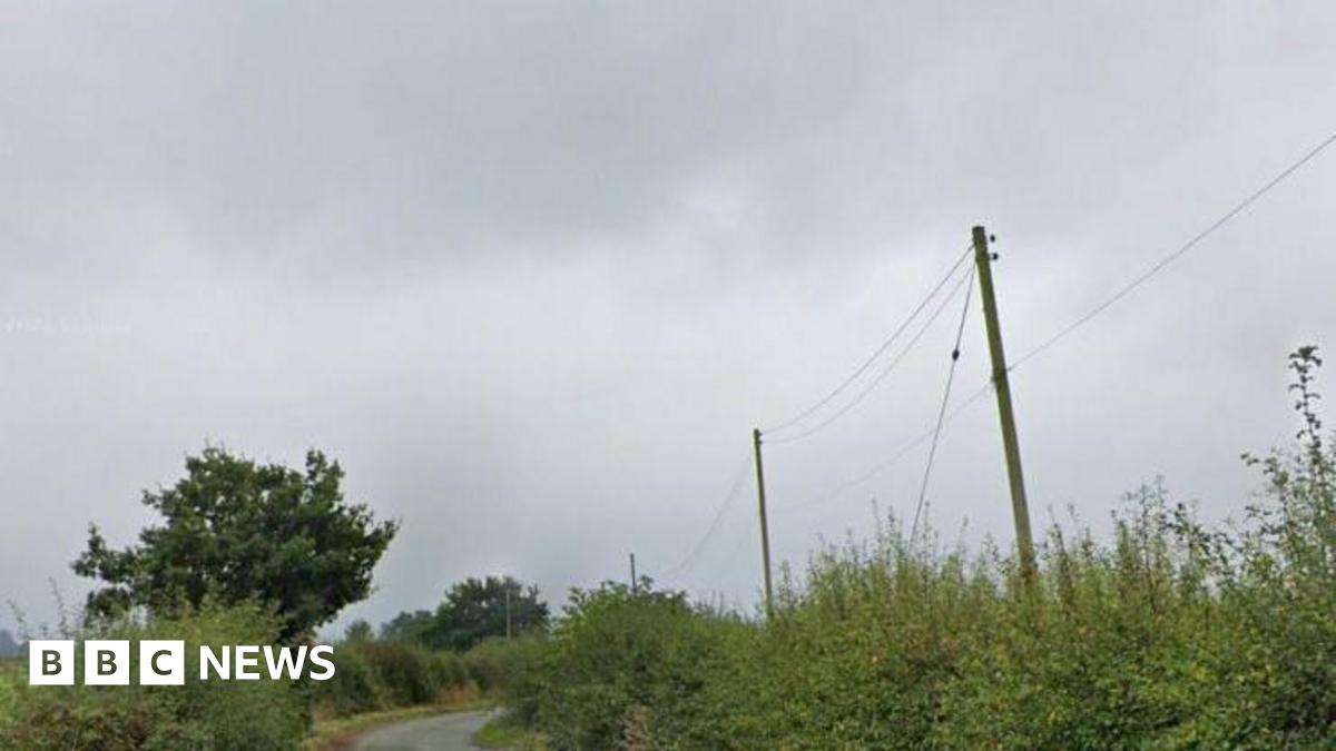 Shropshire power lines upgrade to meet 'new and future demand' - BBC News