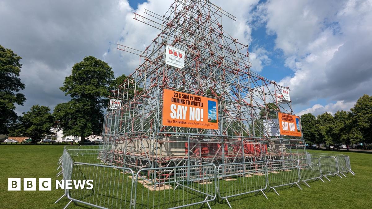 Writtle Parish Council erects mini pylon to fight new power line - BBC News