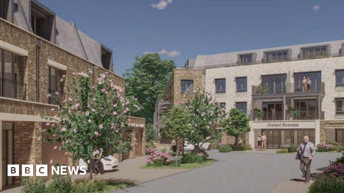 Surrey: Plans for homes near River Ember approved - BBC News