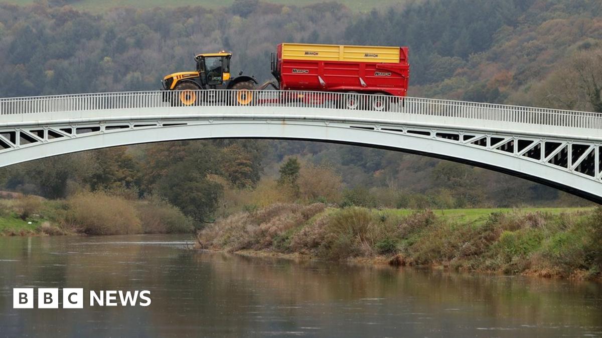 Elms: England greener farming payments detail unveiled - BBC News