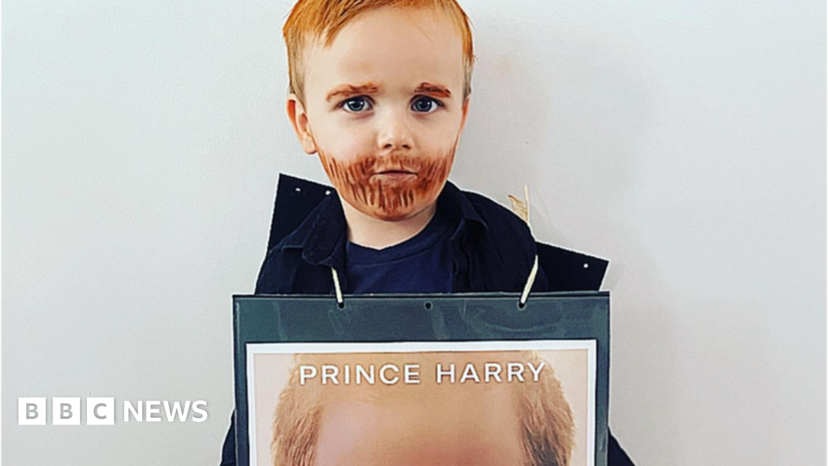 World Book Day: Redhill boy, 3, dresses as Prince Harry - BBC News