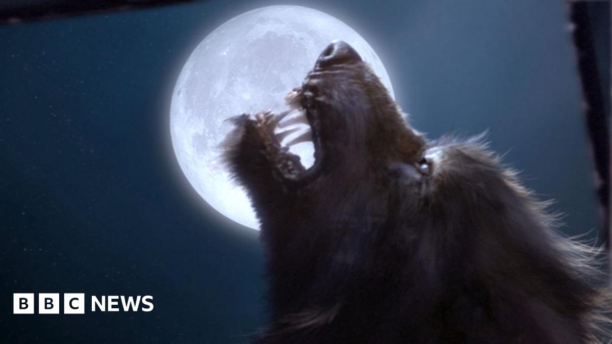 University to host international werewolf conference - BBC News