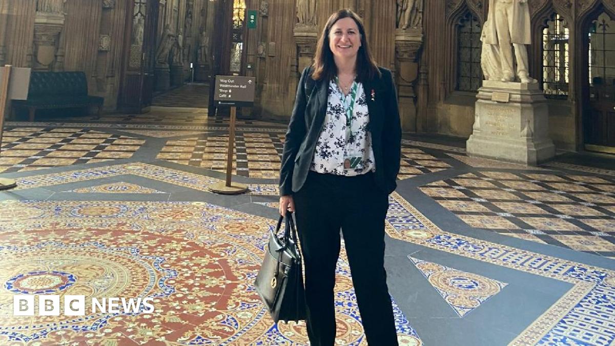 Westminster 'whirlwind' for Shropshire's new MPs - BBC News