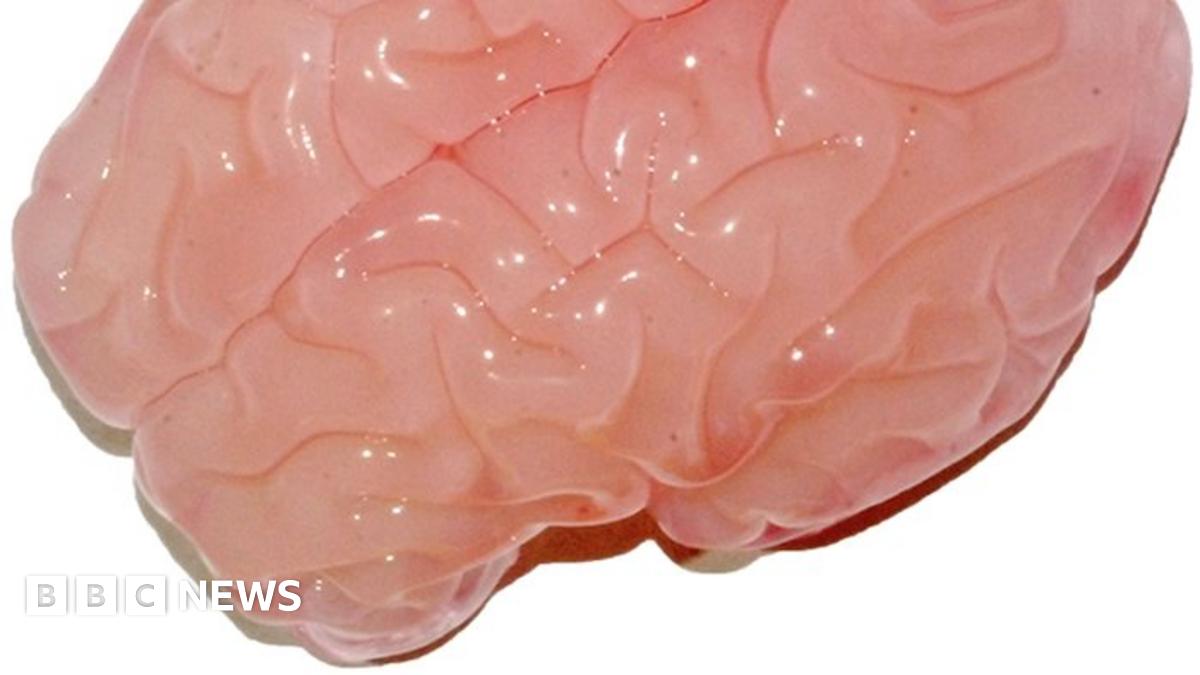 Physics of brain wrinkles copied in a jar - BBC News