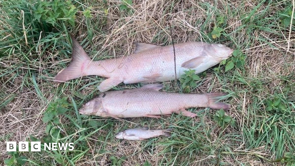 Burst pipe pours sewage into Swindon river - BBC News