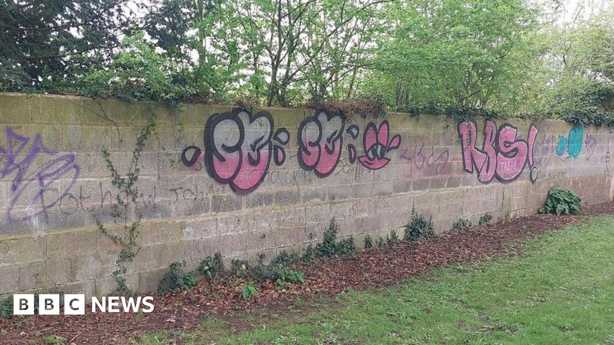 Lincolnshire council offers cash reward after rise in graffiti - BBC News