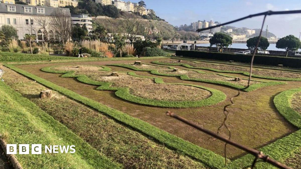 Torbay tree felling at seafront gardens sparks anger - BBC News