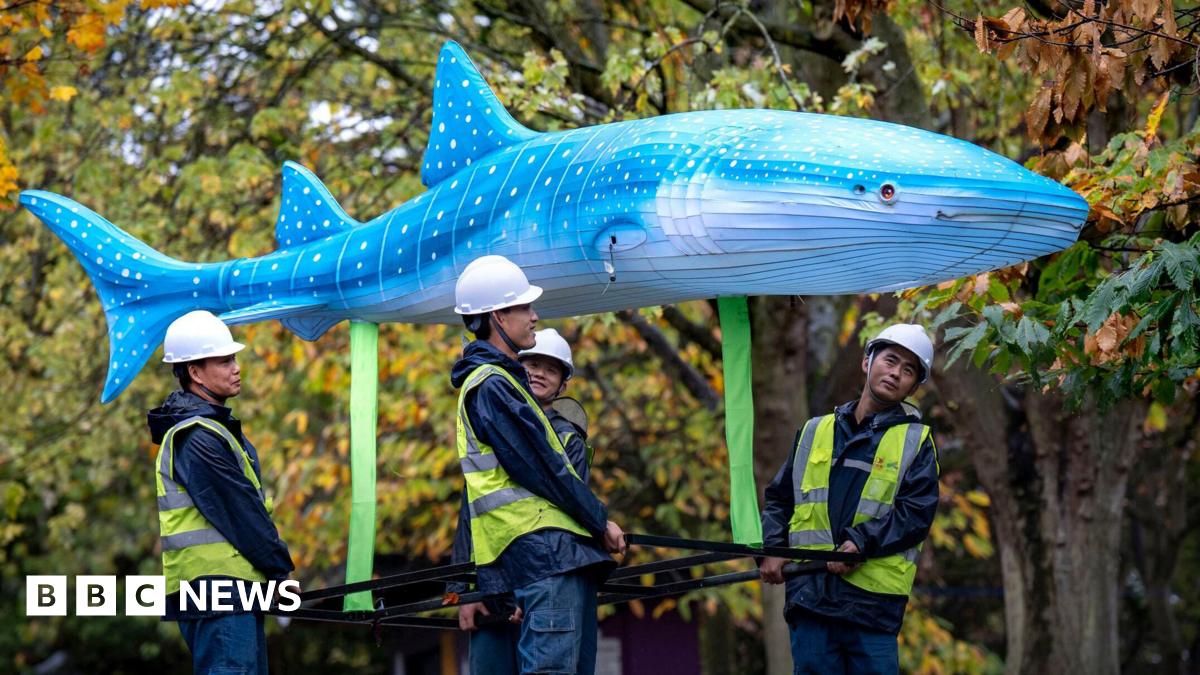 Chinese lantern trail returns to Edinburgh Zoo after six years - BBC News