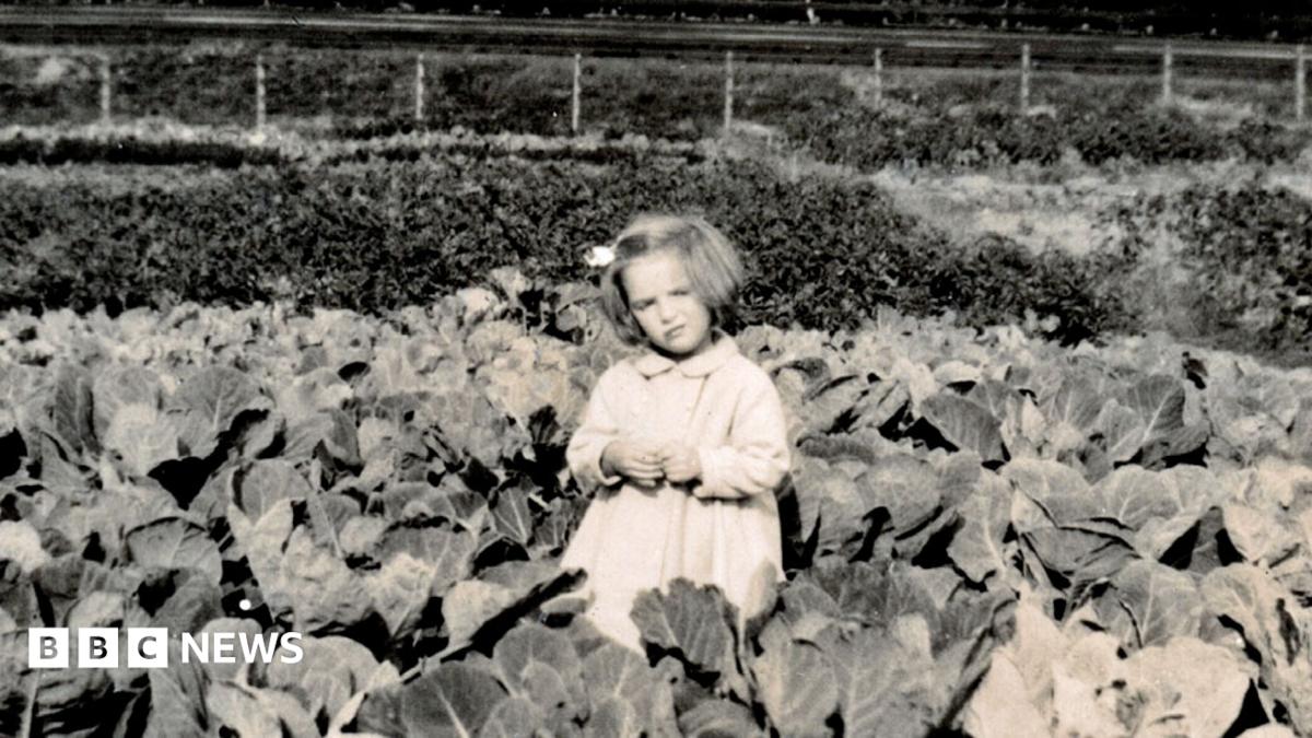 Digging for Victory: Stories from wartime gardens - BBC News