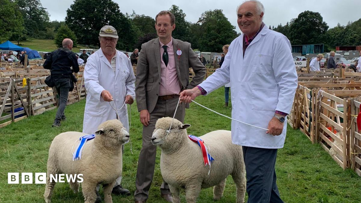 Ripley Show will go ahead in 2026 despite estate sale - organisers say ...