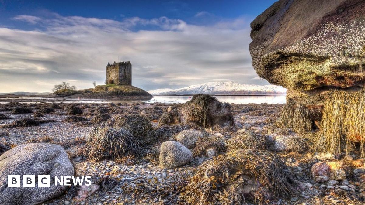Your pictures of Scotland: 1 - 8 December - BBC News