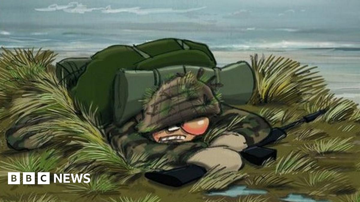 Falklands veteran Will Kevans tells 1982 war story in cartoon - BBC News