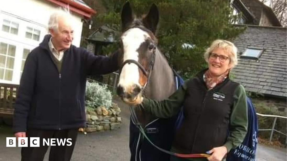 Calvert Stables says goodbye to 'special' pony who died at 34 - BBC News