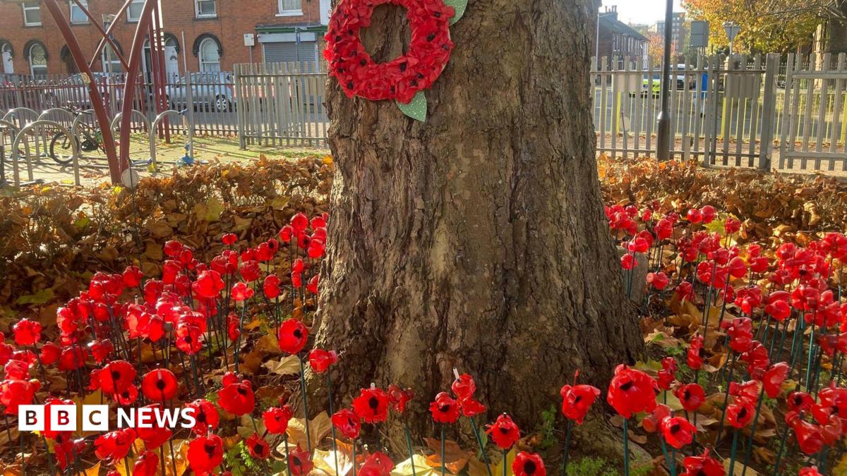 Luton school makes Remembrance poppies from plastic poppies - BBC News