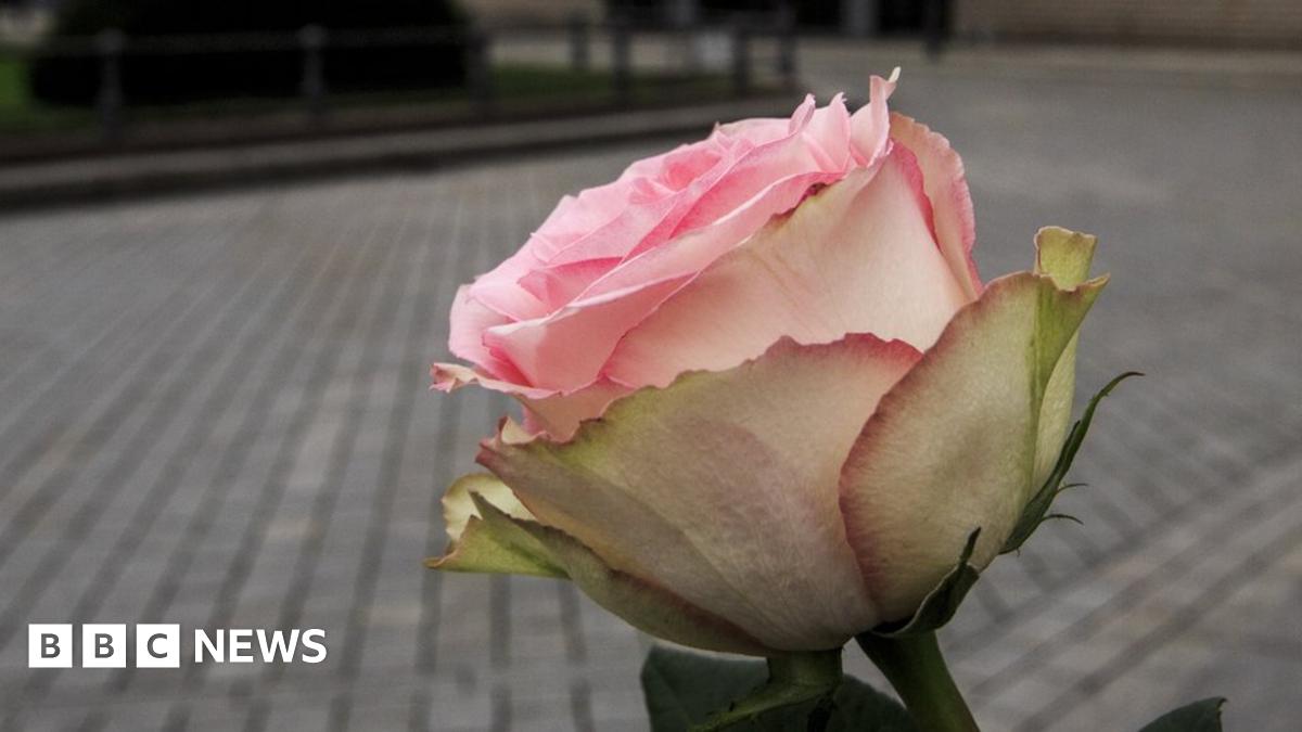 How an eight-year-old boy invented a new word - BBC News