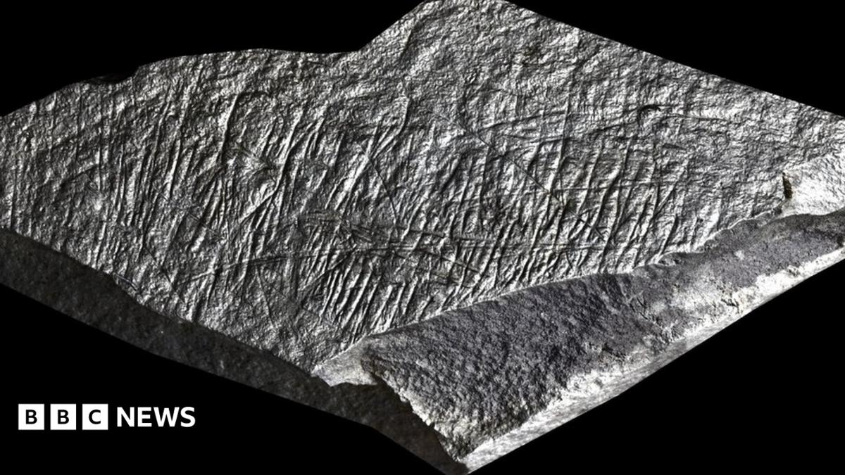 Ice Age engravings found at Jersey archaeological site - BBC News