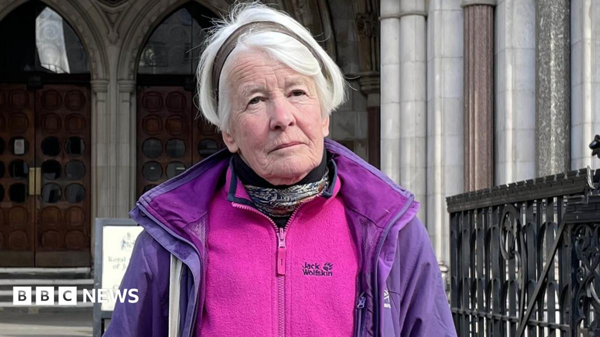 Walthamstow ex-social worker in High Court over holding placard - BBC News