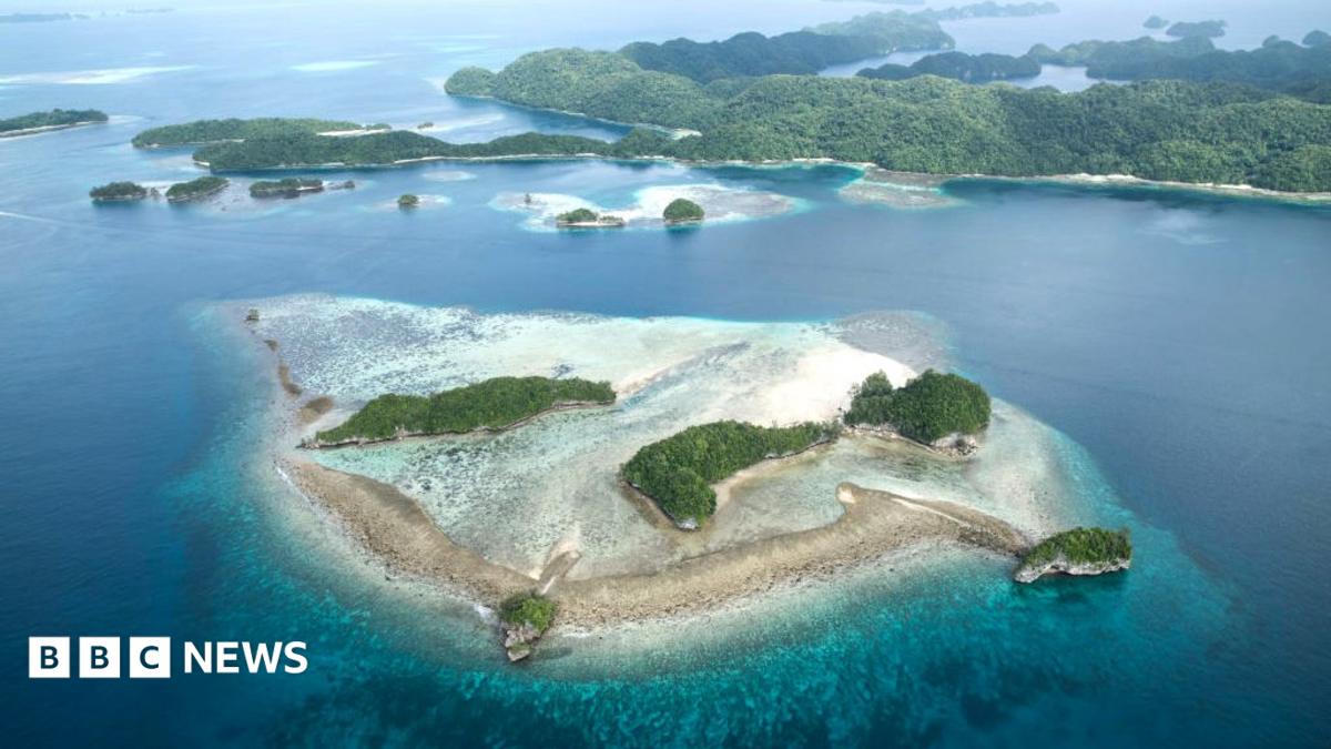 US makes Pacific Islands pledge in bid to counter China - BBC News