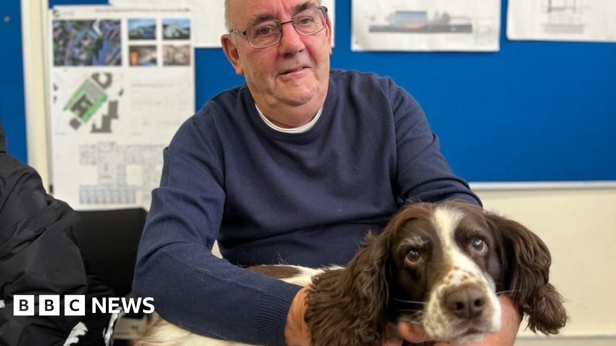 Bristol student vets fund pet vaccines for struggling owners - BBC News